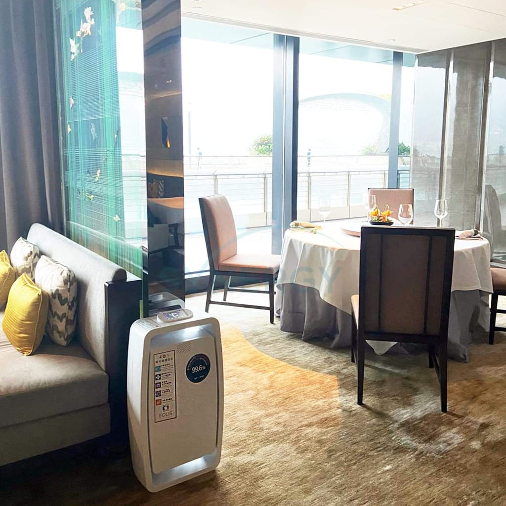 Eolis 1200S FEHD Air Purifier with HEPA Filter| hkmedicalstore.com
